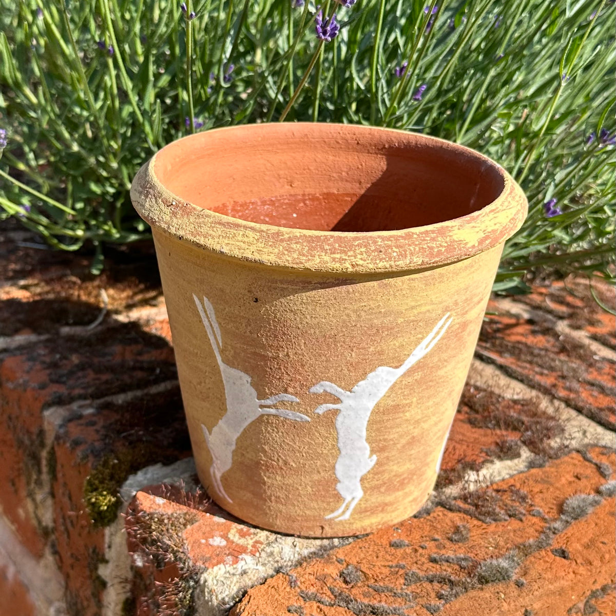 PLAYFUL HARE POT – Olive and Olive Interiors