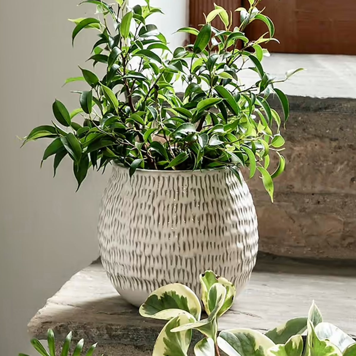 Garden Trading Winkleigh Pot 2 sizes – Olive and Olive Interiors